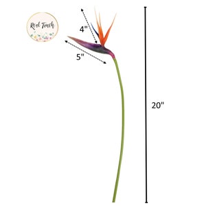 Pack of 10 Stems Real Touch Bird of Paradise Flower - Etsy