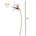 Pack of 10 Stems Real Touch Bird of Paradise Flower - Etsy