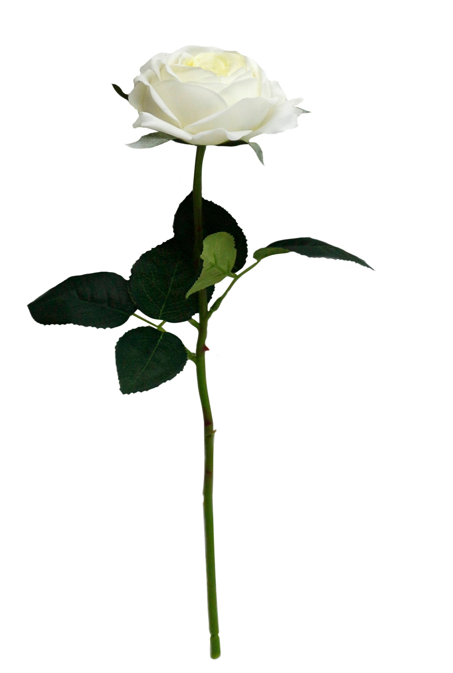 Pack of 3-stunning 17long Stem Real Touch Rose-home - Etsy