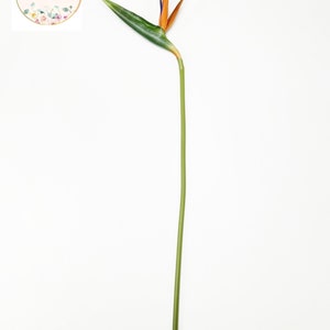 Pack of 10 Stems Real Touch Bird of Paradise Flower - Etsy