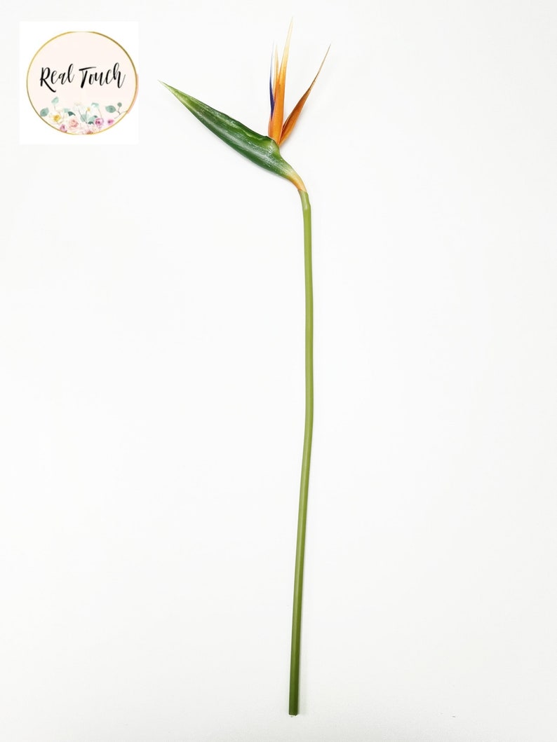 Pack of 10 Stems Real Touch Bird of Paradise Flower - Etsy