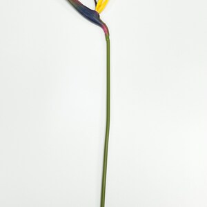 Pack of 10 Stems Real Touch Bird of Paradise Flower - Etsy