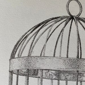 Free/uncaged, Black and White With Colorful Cardinal Bird, Pen and Ink ...