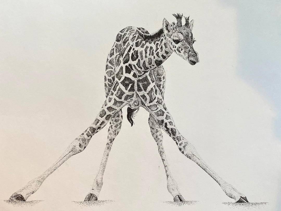 Wobbly Legs, Black and White, Pen and Ink Pointillism Illustration - Etsy