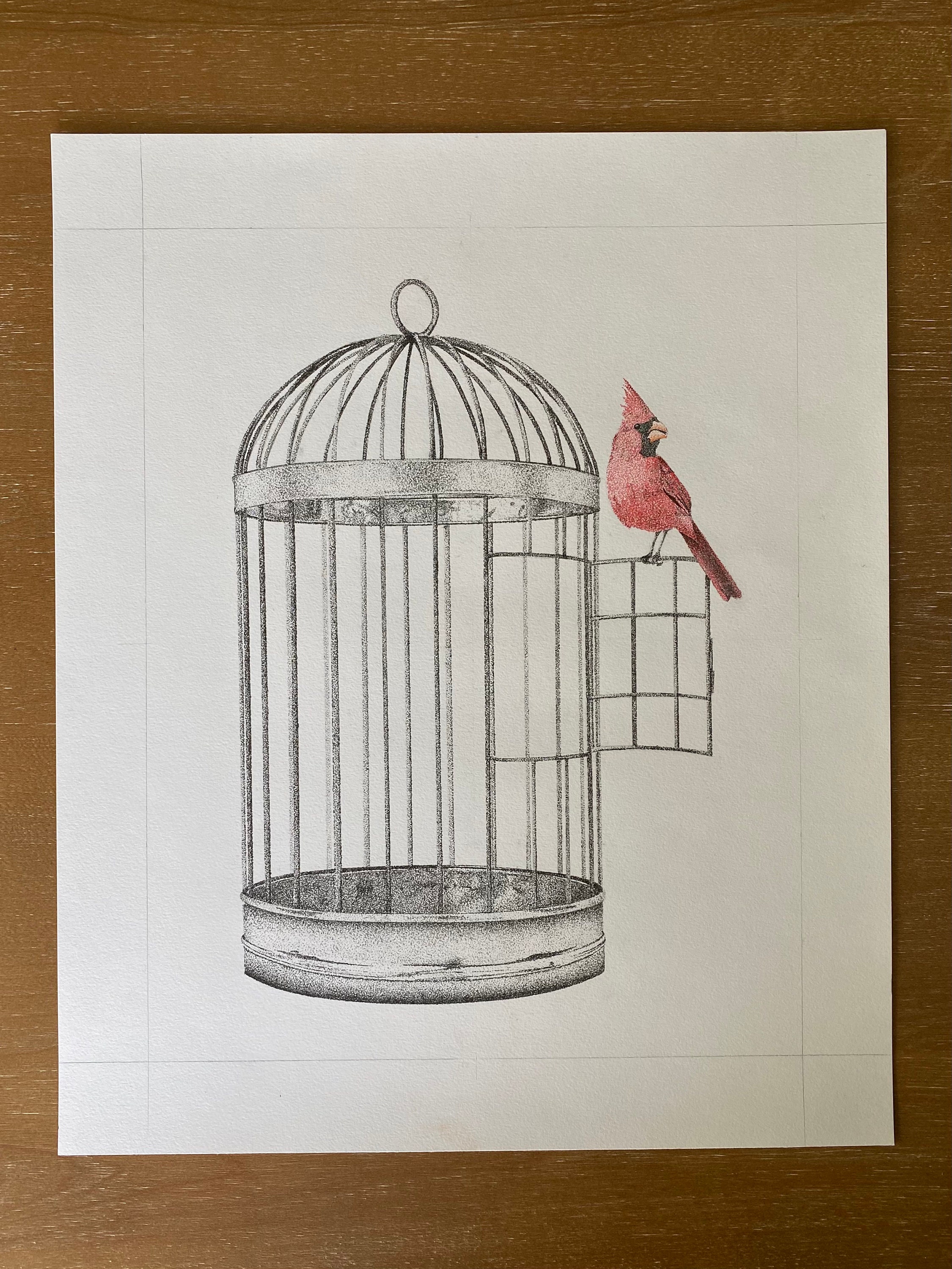 Free/uncaged, Black and White With Colorful Cardinal Bird, Pen and Ink ...