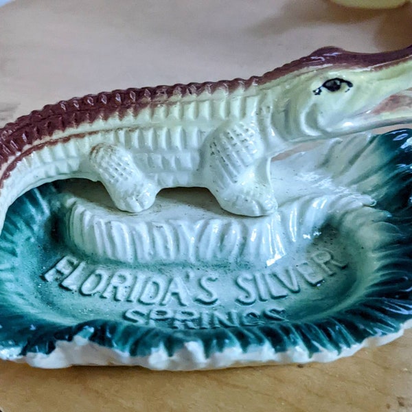 Alligator Souvenir - Etsy