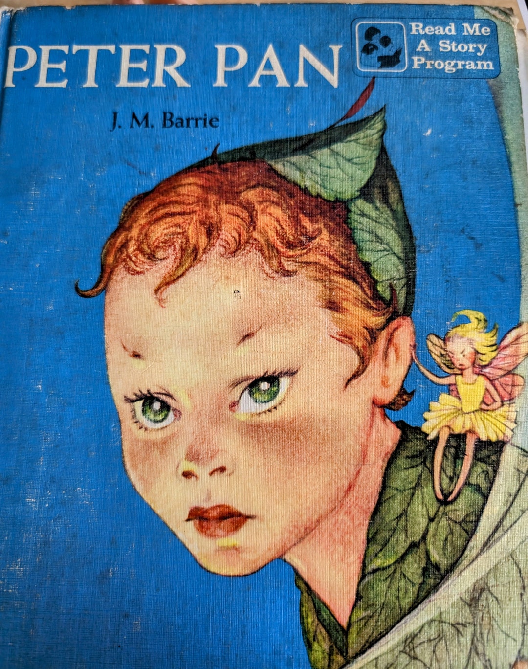 Peter Pan Hardcover Book With Gorgeous Color Illustrations - Etsy