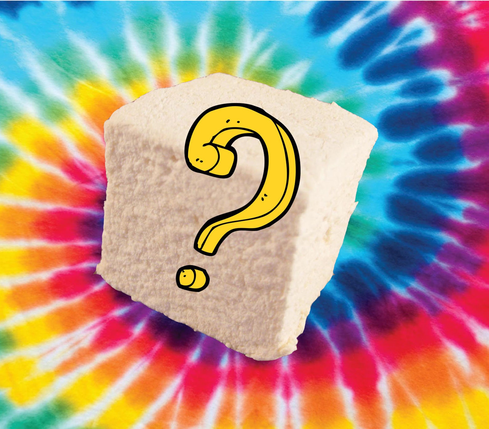 Surprise Flavor Marshmallows - 1 Dozen Gourmet Homemade Marshmallows - Etsy