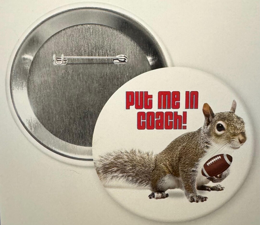 Squirrel Football - Put Me in Coach - 3" Pin Back - Etsy