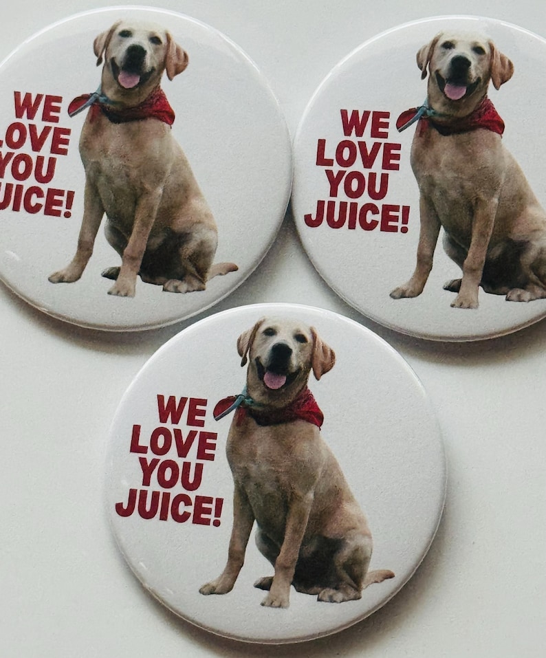 Kiffin Hate Buttons - 3" - Etsy