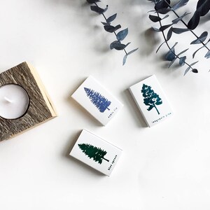 Evergreen Tree Species Matchbox Trio. Lodgepole Pine Noble - Etsy