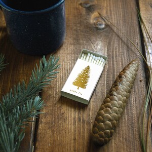 Evergreen Tree Species Matchbox Trio. Lodgepole Pine, Noble Fir, Blue ...