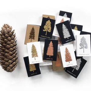 Blue Spruce Tree Matchbox. Camping Matches. Adventure Gift. Pine ...