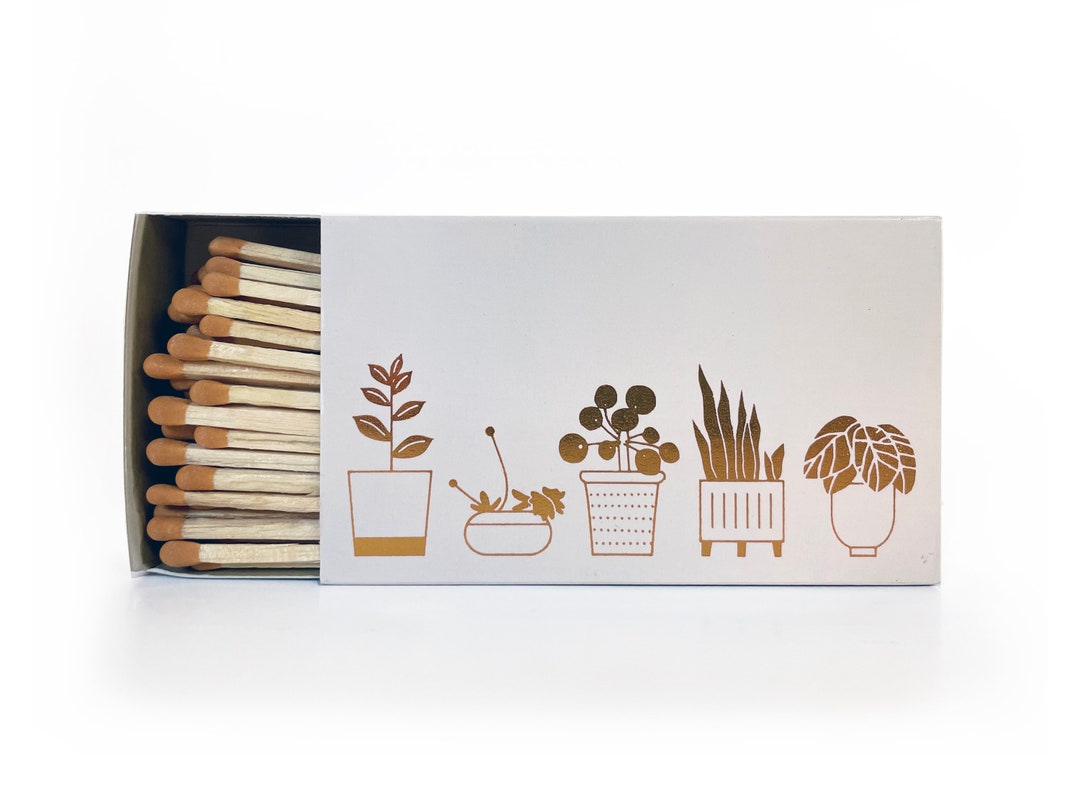 Potted Plants Candle Matchbox. House Plants Foil Press Match Box. 4 ...