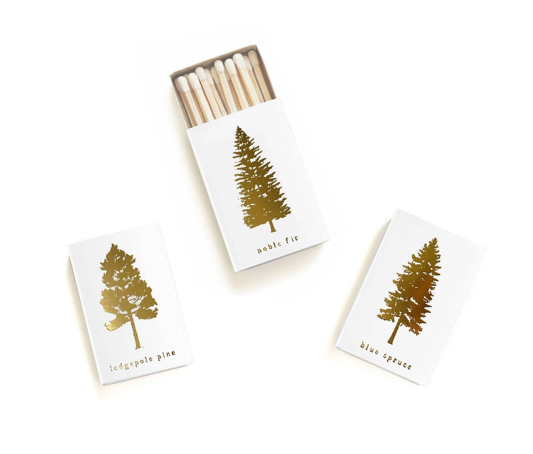 Evergreen Tree Species Matchbox Trio. Lodgepole Pine, Noble Fir, Blue ...