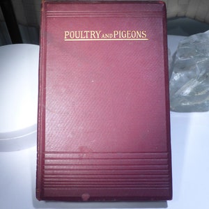 Poultry - Etsy