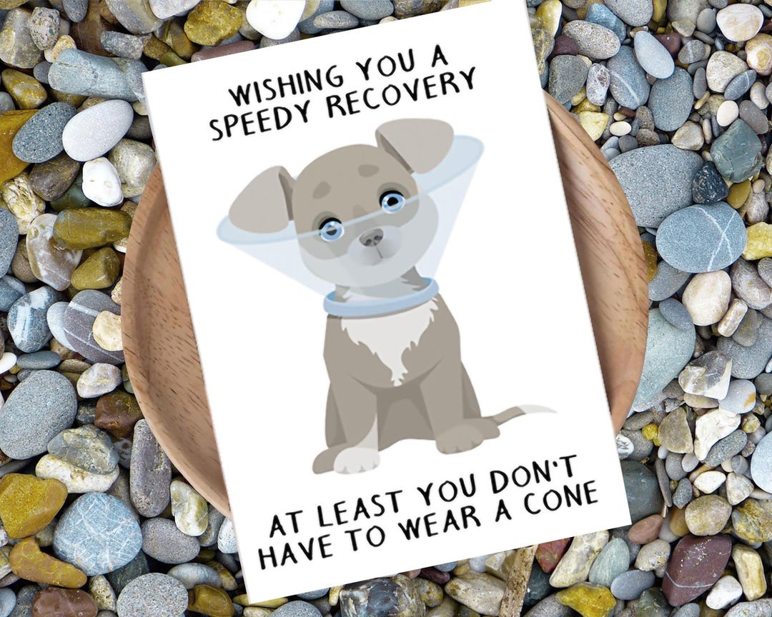 Funny Dog Get Well Card – Printable, Three Sizes (digital Download) - Etsy