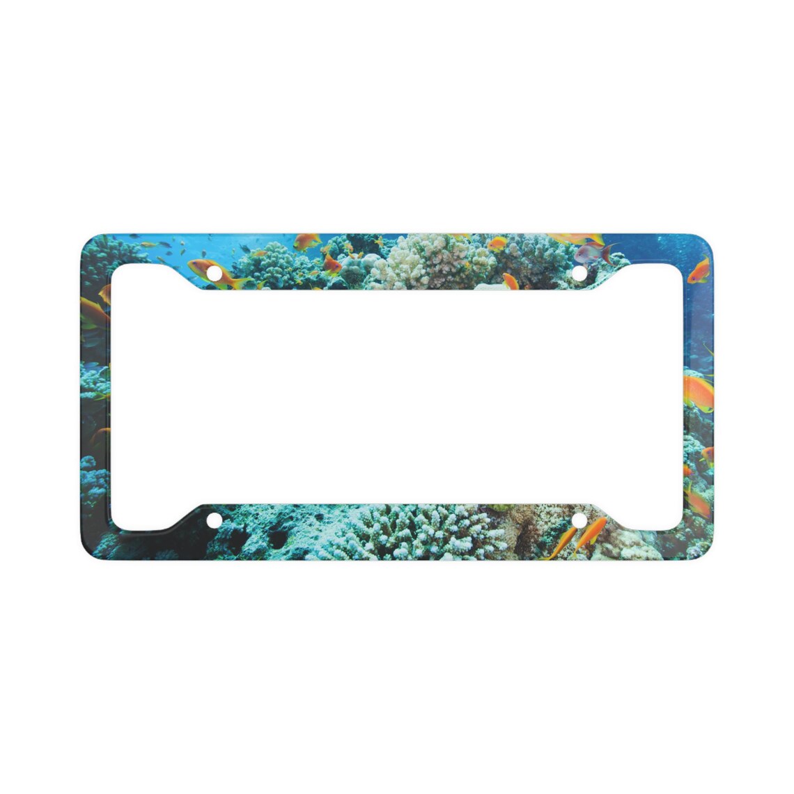 Coral Reef License Plate Frame. Beach License Plate Frame. Fish License ...