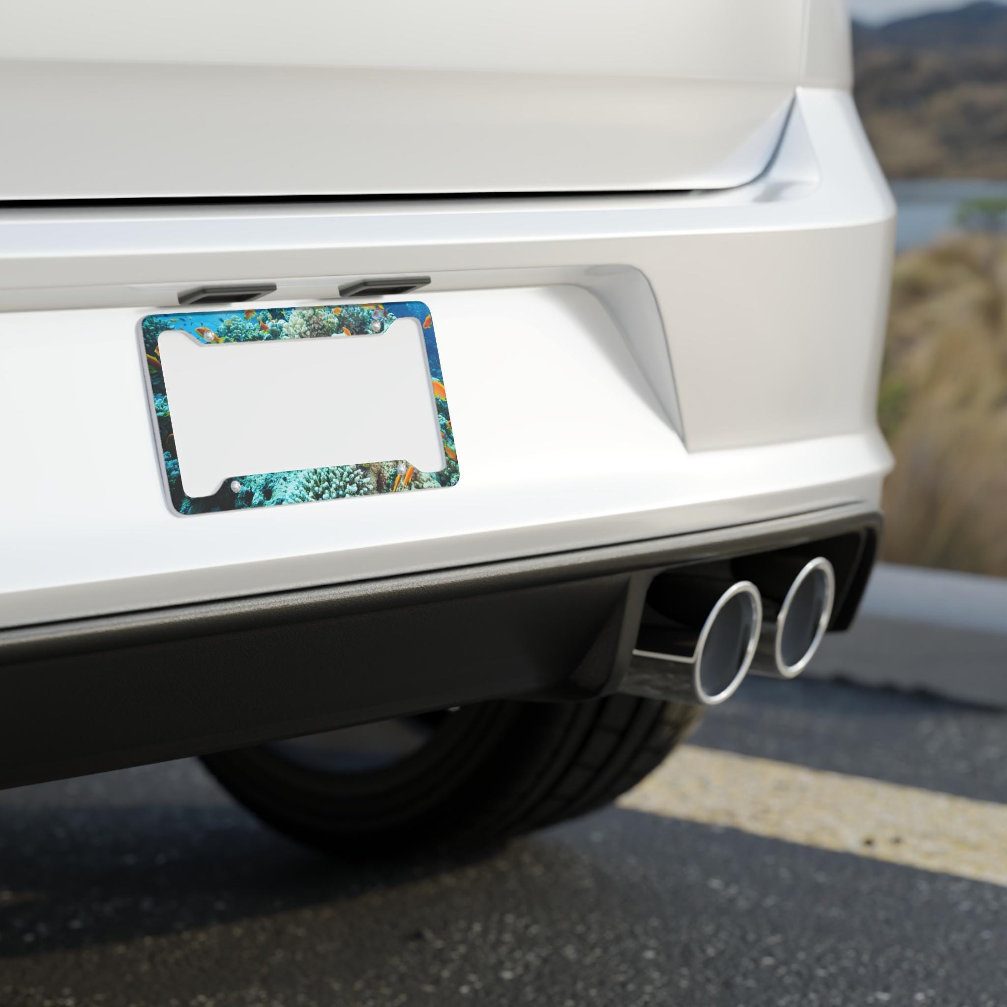 Coral Reef License Plate Frame. Beach License Plate Frame. Fish License ...