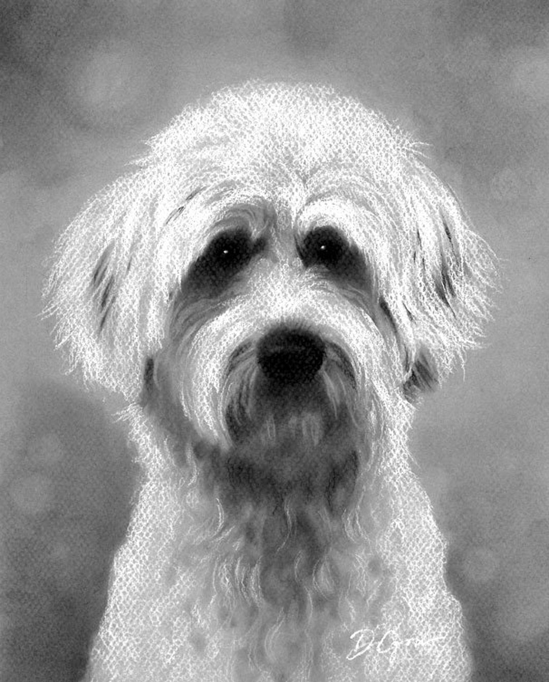 Hand-drawn Pet Portrait - Etsy