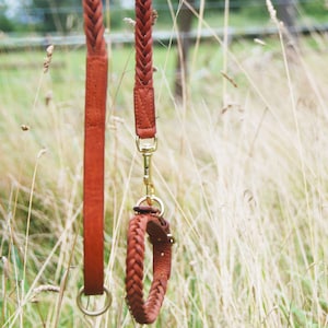 Pear Tannery Plaited Leather Dog Collar - Etsy