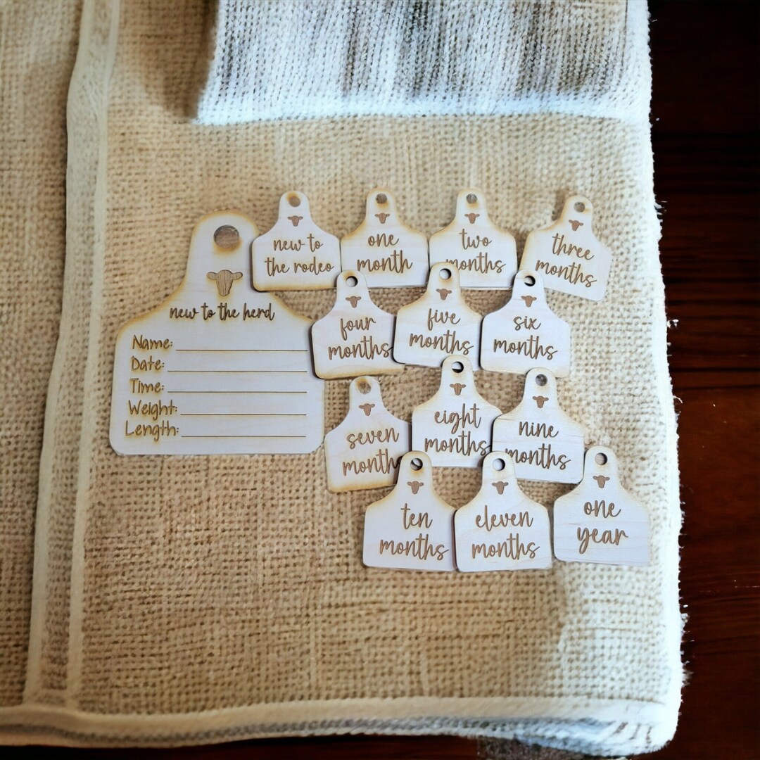 Digital Download - Farm Themed First Year Month Markers and Newborn ...