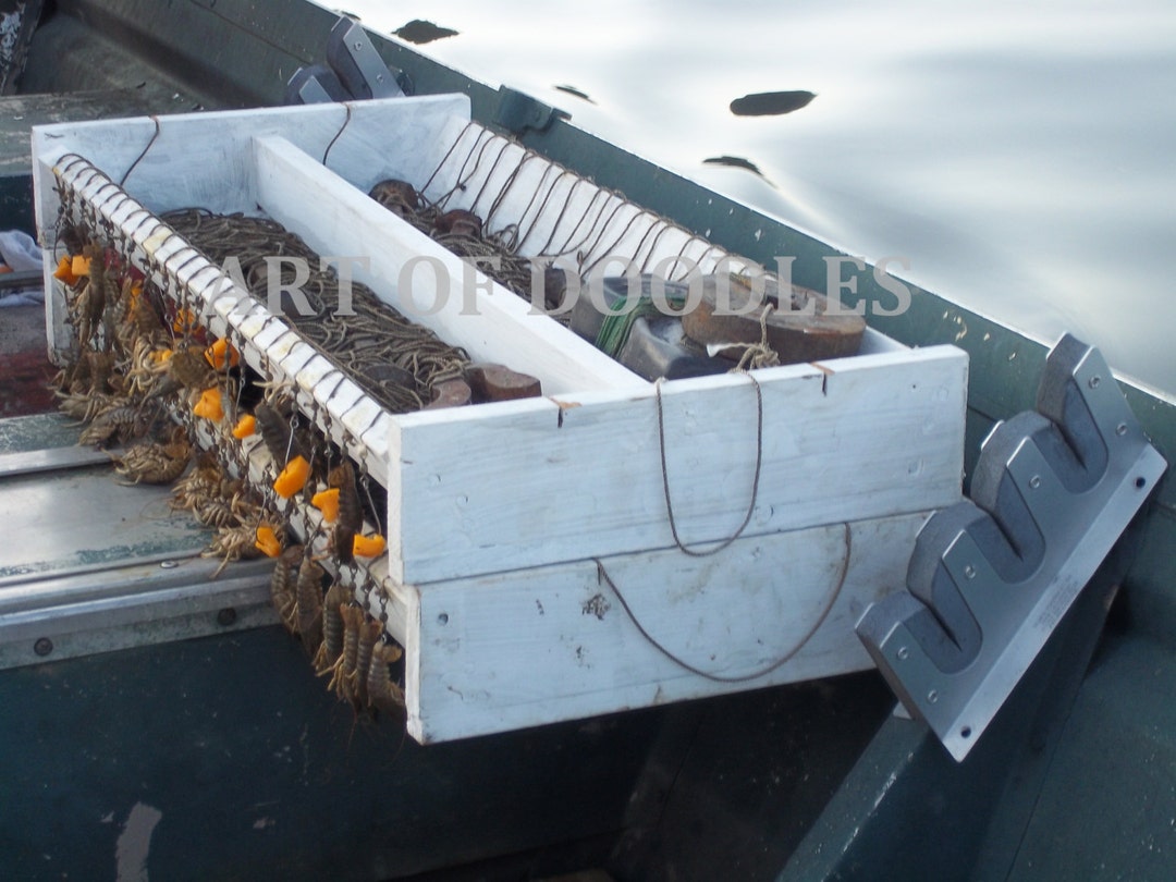 Trot Line Photograph - Etsy