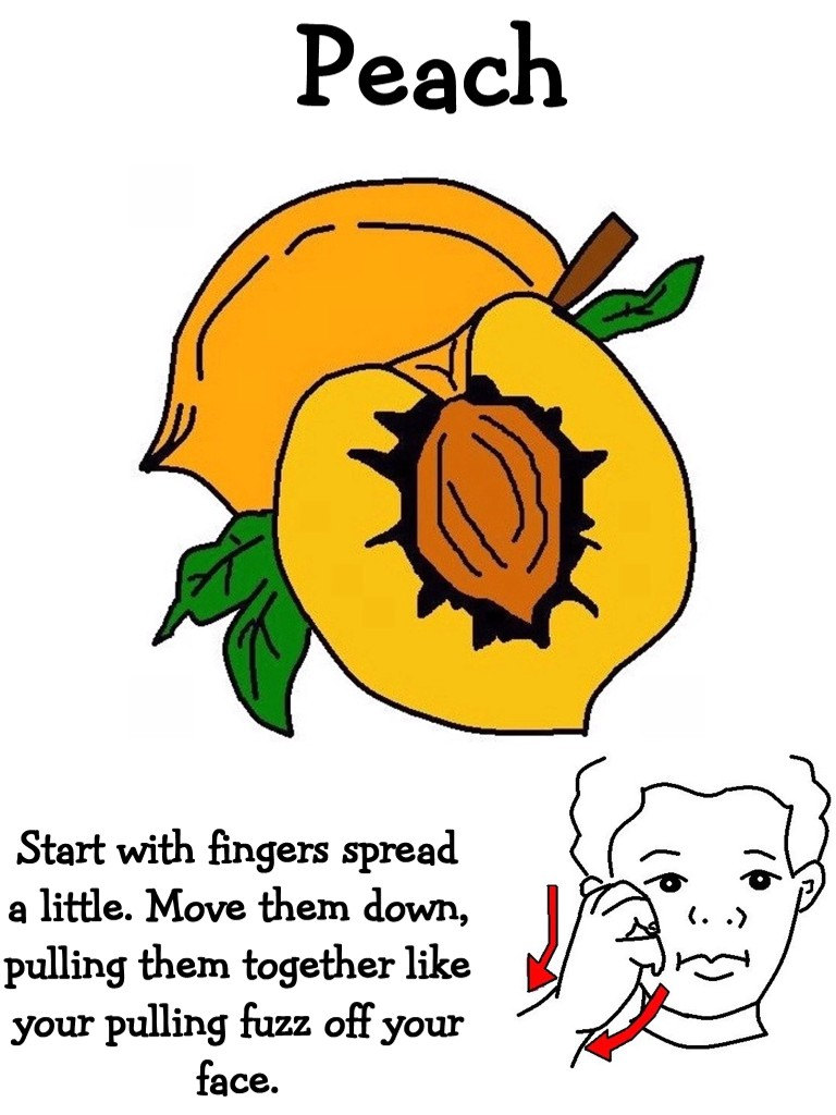 Learn Sign Language TODAY With the Full Color E-book Called "signing ...