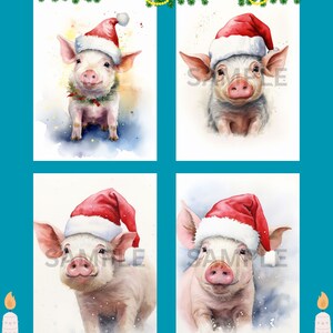 Pig Christmas Cards (12 Cards) - Etsy