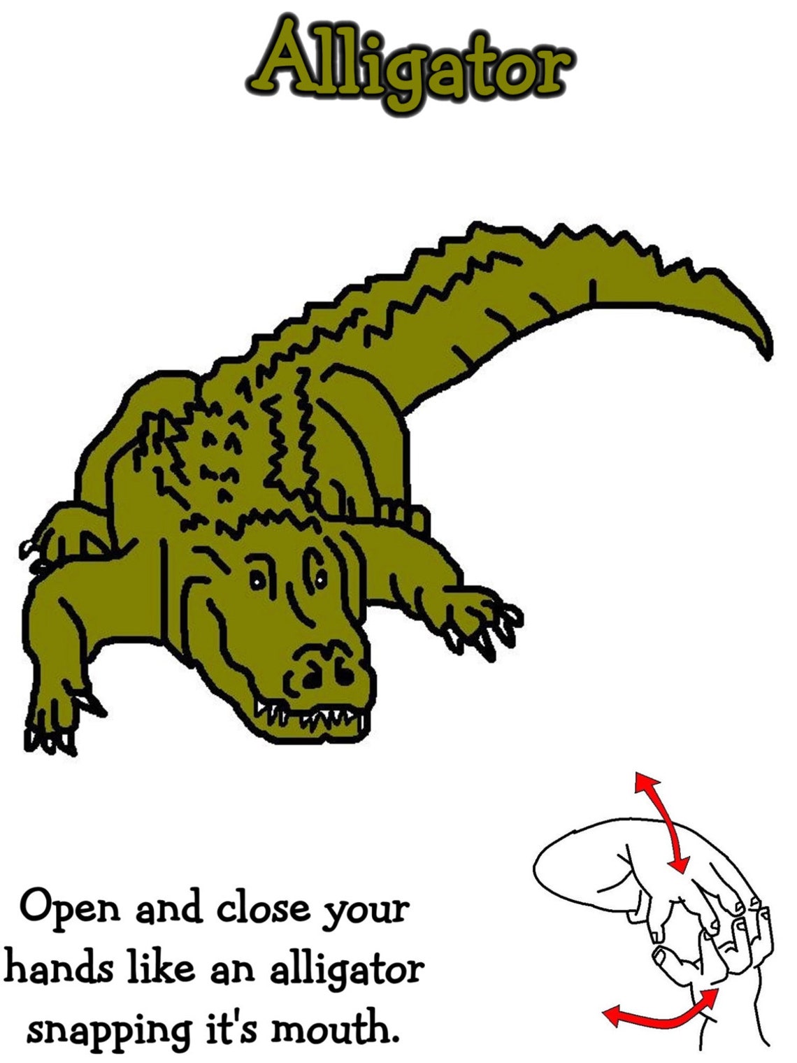 Learn Sign Language TODAY With the Full Color E-book Called "signing ...
