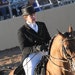 The Melissa Collar- Show Hack Dressage Stock Tie Collar With Piping and ...