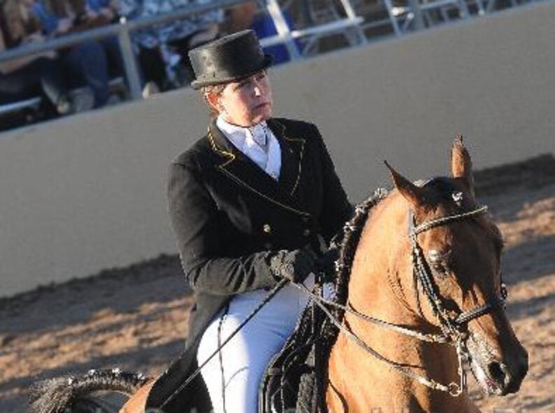 The Melissa - Show Hack Dressage Fixed Tie Dickie With Piping and ...