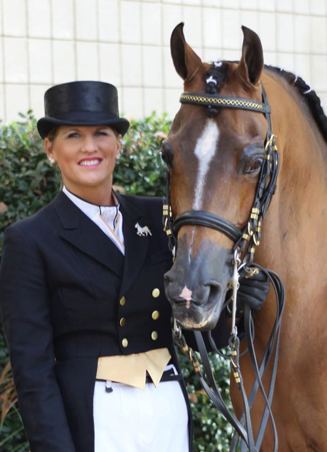 The Melissa - Show Hack Dressage Fixed Tie Dickie With Piping and ...