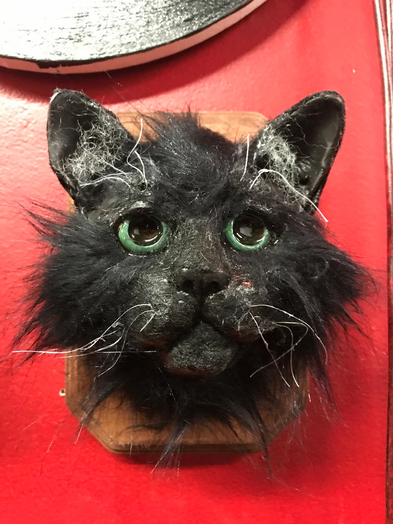 Faux Taxidermy Mounted Cat Heads | Etsy