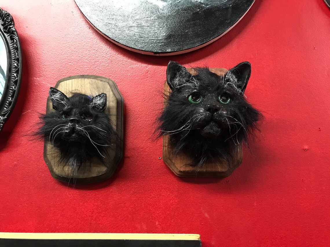 Faux Taxidermy Mounted Cat Heads | Etsy