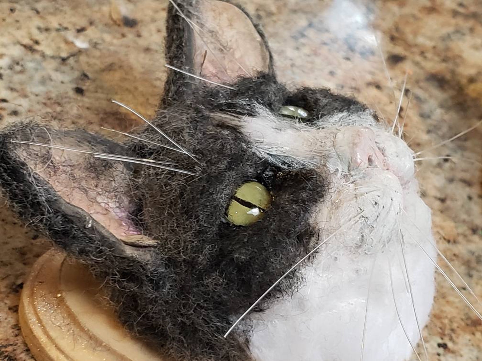 Faux Taxidermy Mounted Cat Heads - Etsy