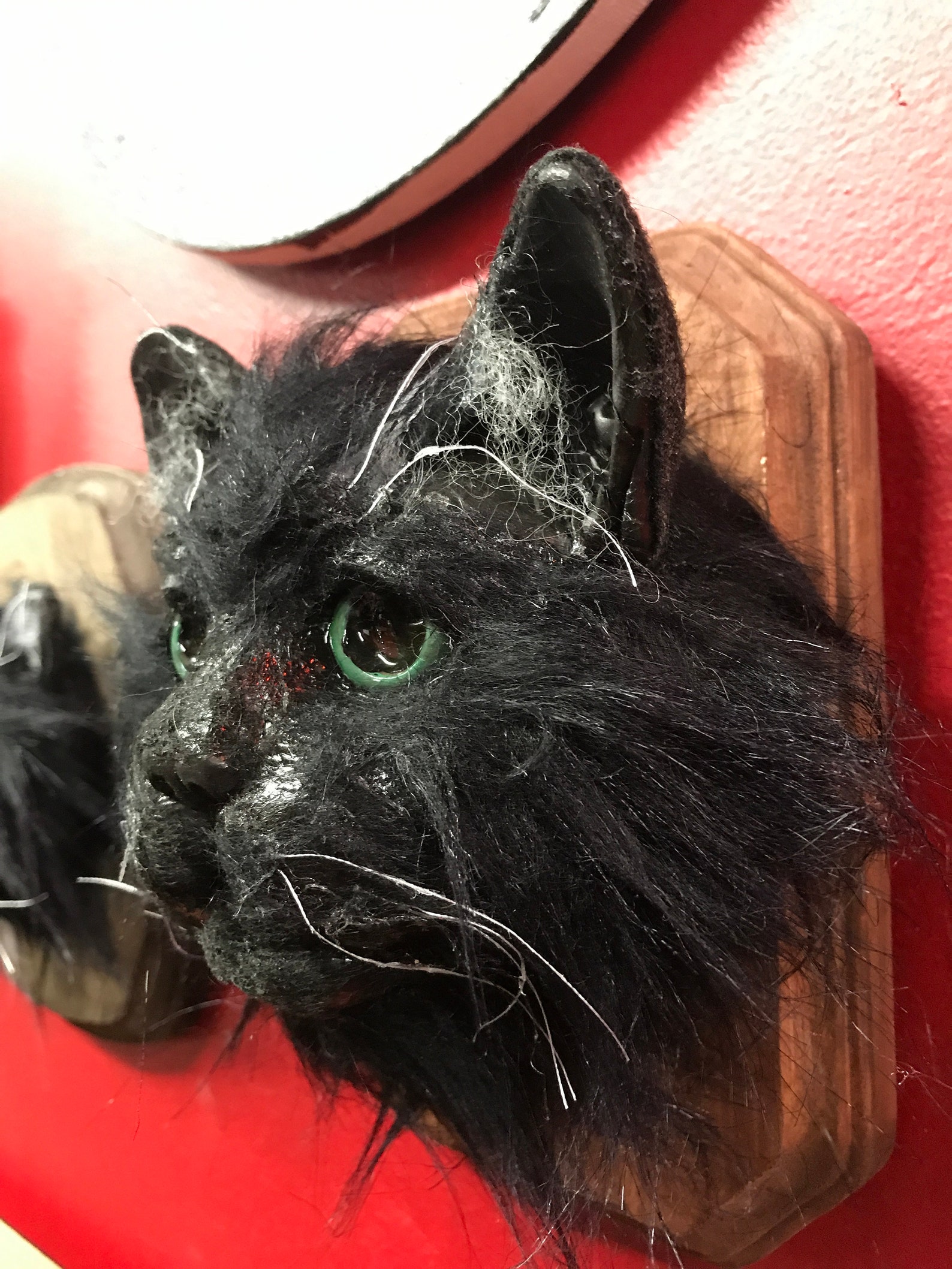 Faux Taxidermy Mounted Cat Heads | Etsy