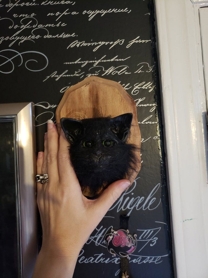 Faux Taxidermy Mounted Cat Heads | Etsy