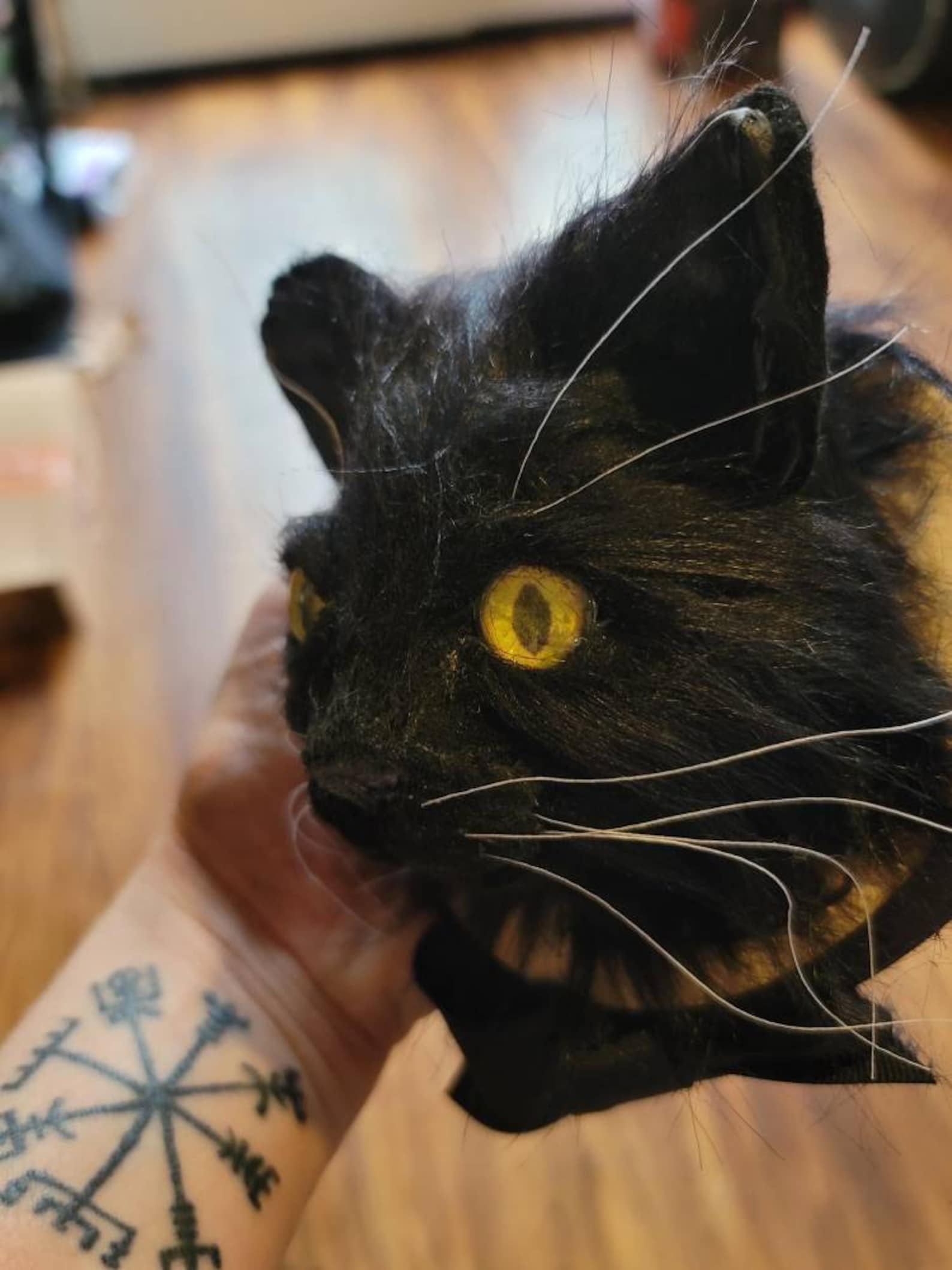 Faux Taxidermy Mounted Cat Heads | Etsy