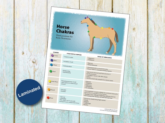 LAMINATED Poster of Horse Chakra Functions Signs of Imbalance - Etsy.de