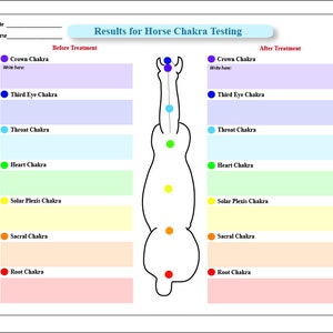 Reiki Chakra Treatment Results for Horses Template Printable - Etsy