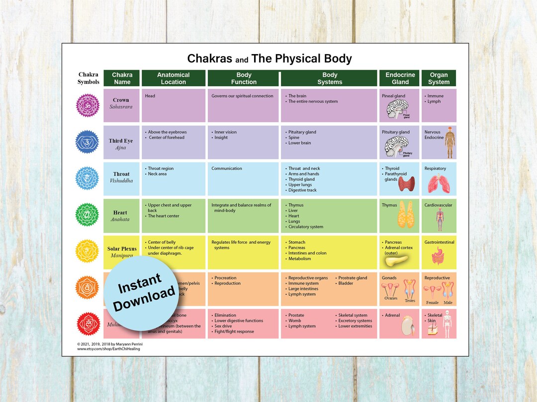 Chakras & the Physical Body Printable Chart - Etsy