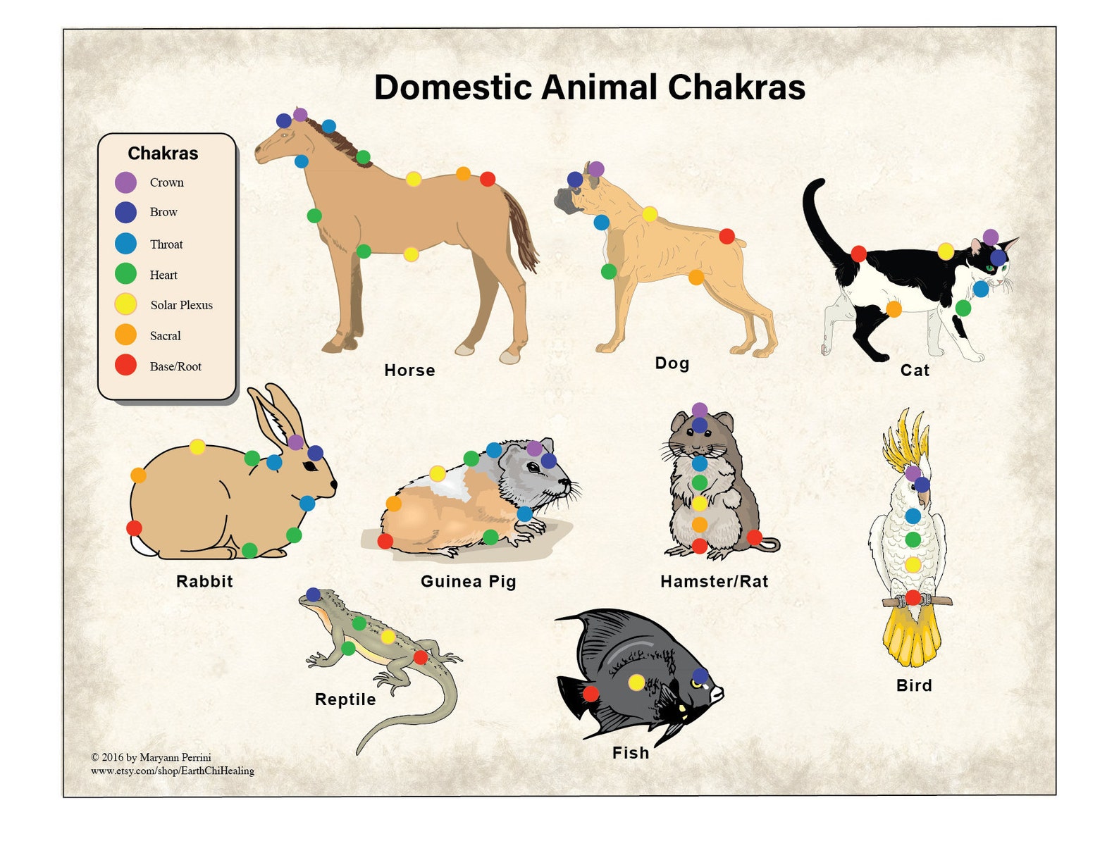 LAMINATED 7 Chakra Animal Poster con gatos perros caballos | Etsy
