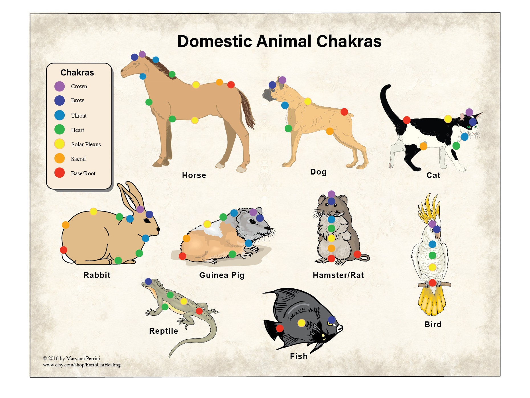 LAMINATED 7 Chakra Animal Poster con gatos perros caballos | Etsy