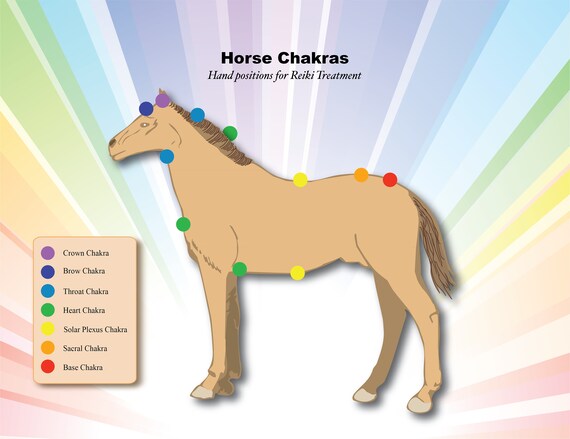 Horse Equine Chakra Printable Chart Reiki Hand Positions