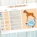 Printable Dog and Cat Chakras Purposes and Imbalances Chart - Etsy