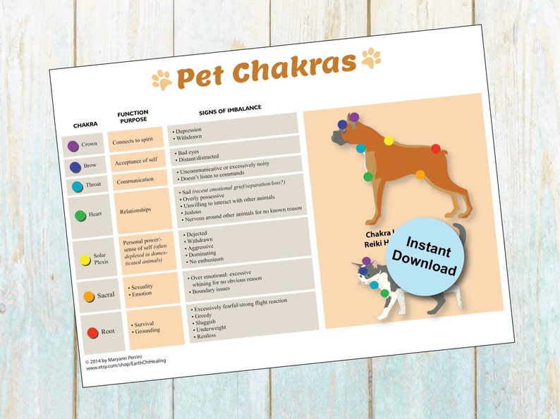 Printable Dog and Cat Chakras Purposes and Imbalances Chart | Etsy