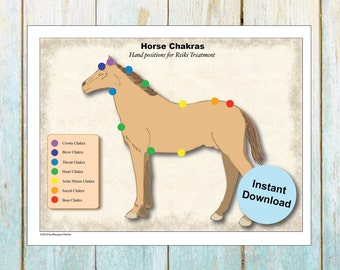Printable 7 Chakra Animal Pet Chart for Reiki Hand Positions | Etsy ...