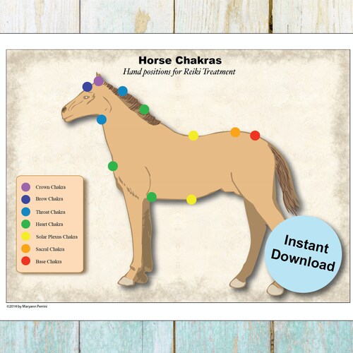 Printable Dog and Cat Chakras Purposes and Imbalances Chart | Etsy