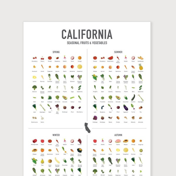 Four Seasons Food Chart - Etsy